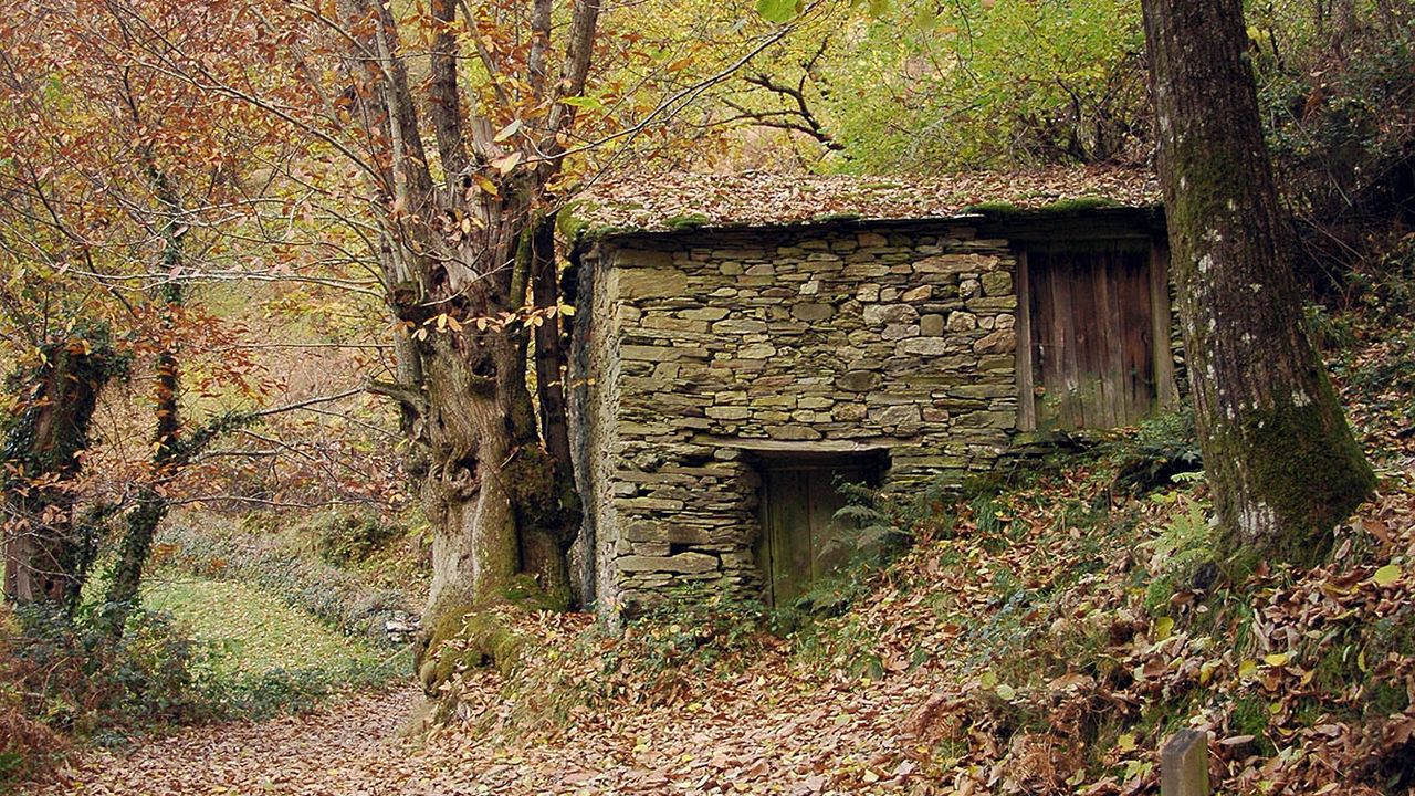 Five Forests to Enjoy Autumn in Galicia