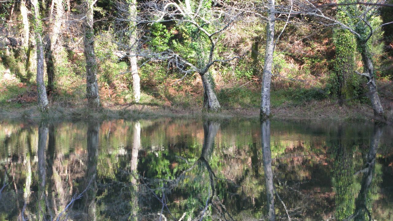 Five Forests to Enjoy Autumn in Galicia