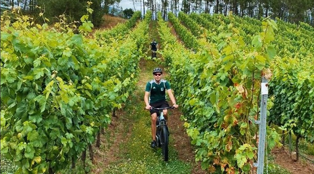 Disfrutar de O Ribeiro durante todo el año